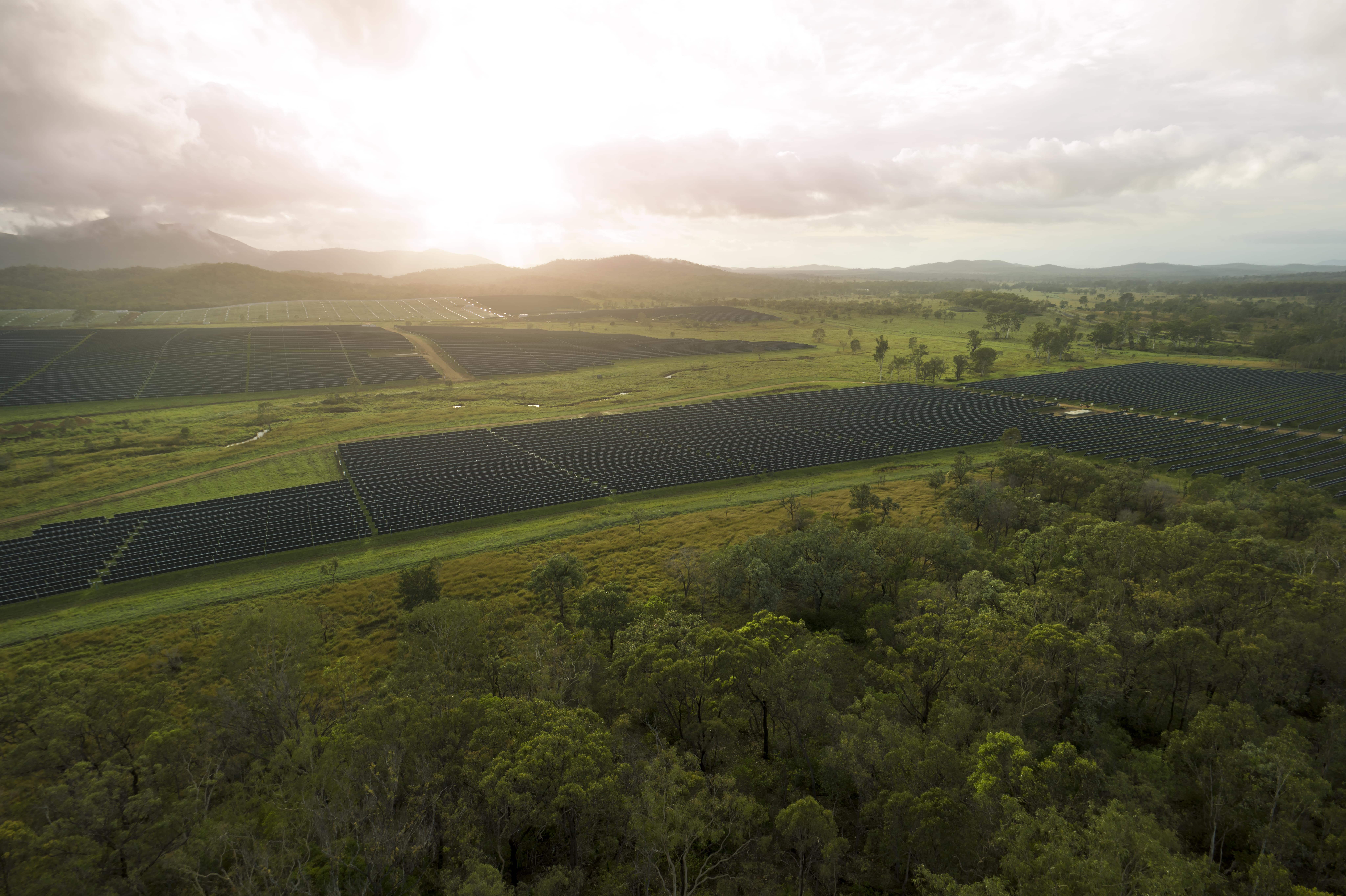 Aldoga Solar Farm | ACCIONA | Business as unusual