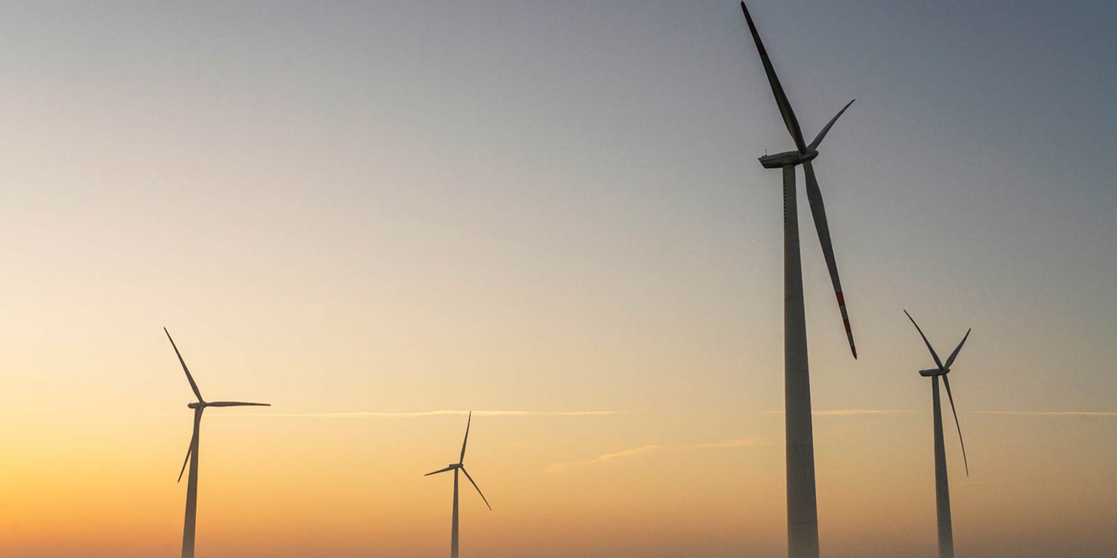 CDP: ACCIONA and ACCIONA Energía rank among world’s most sustainable firms CDP: ACCIONA and ACCIONA Energía rank among world’s most sustainable firms