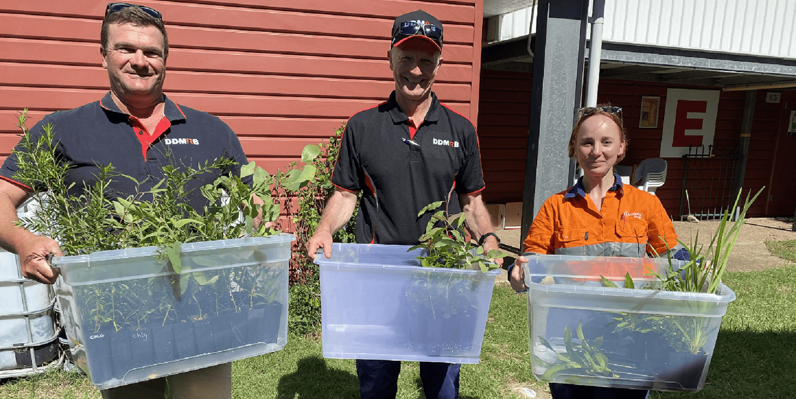 ACCIONA Energía's MacIntyre Tree Donations Initiative: creating a ...