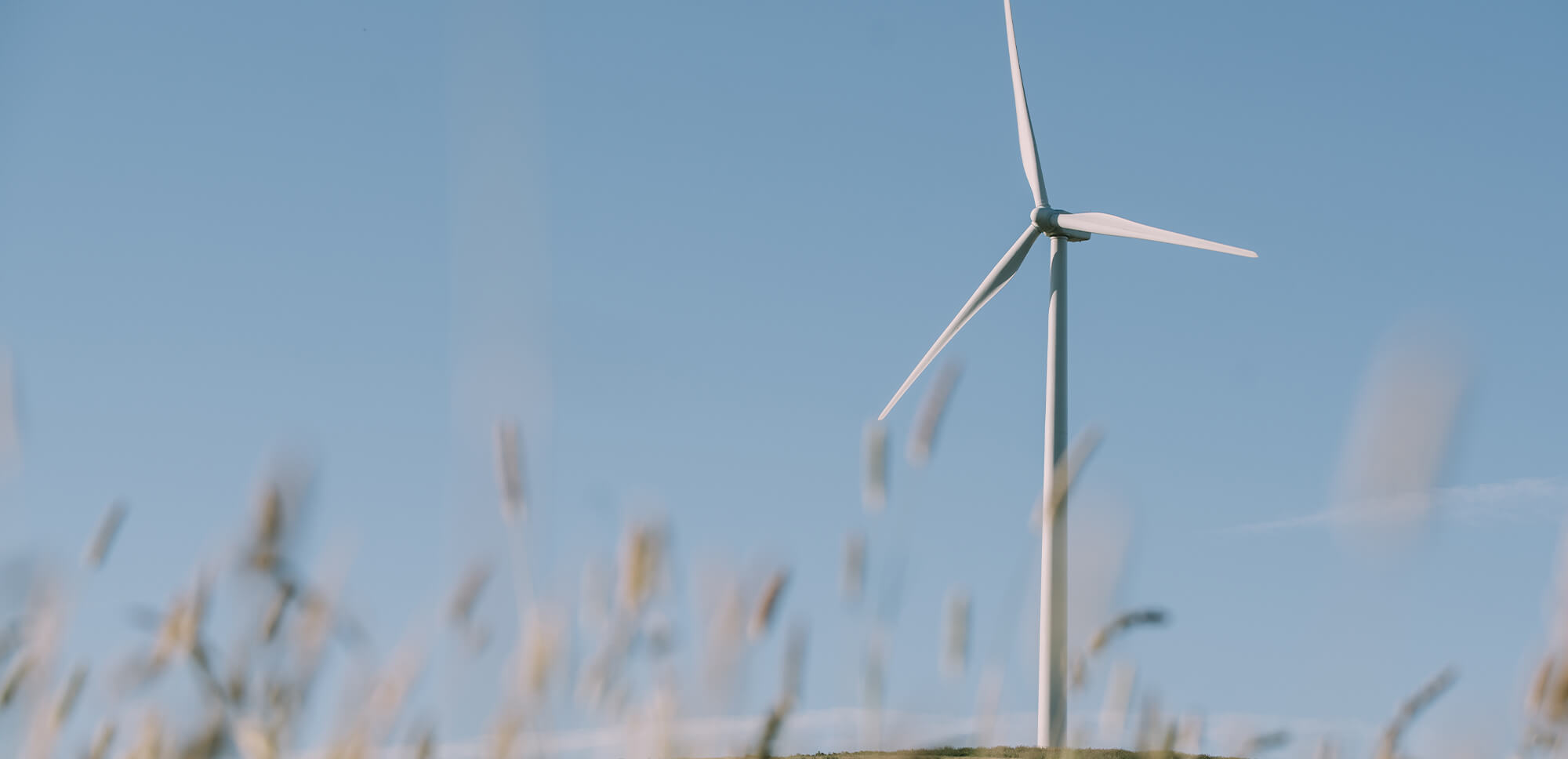 Waubra Wind Farm | ACCIONA | Business as Unusual