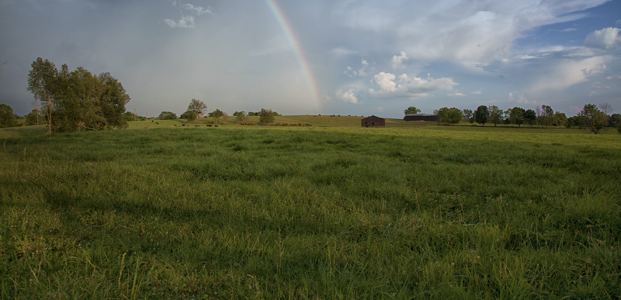 Madison County Solar Farm | ACCIONA | Business as unusual