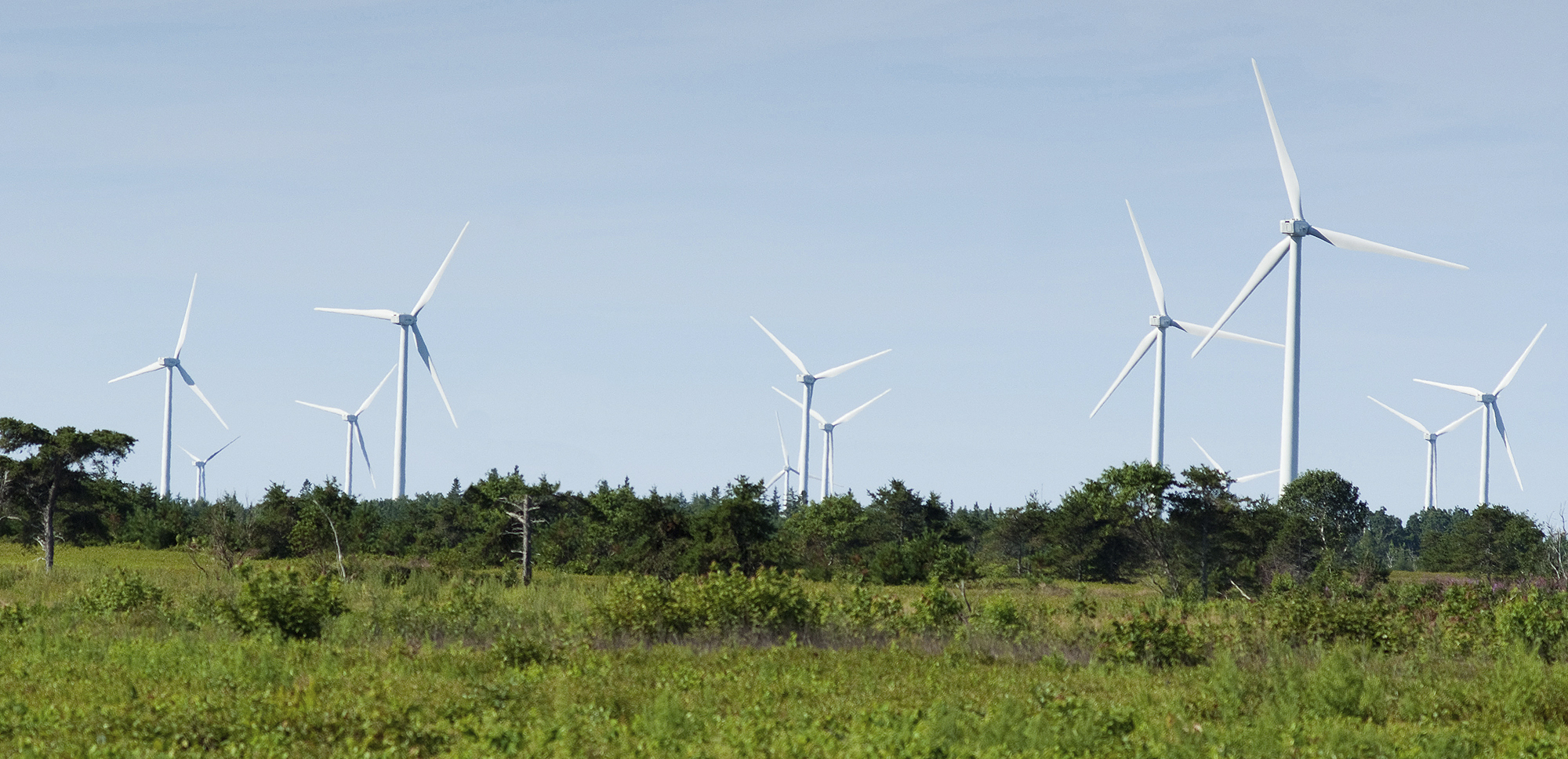 Lameque wind farm | ACCIONA | Business as usual