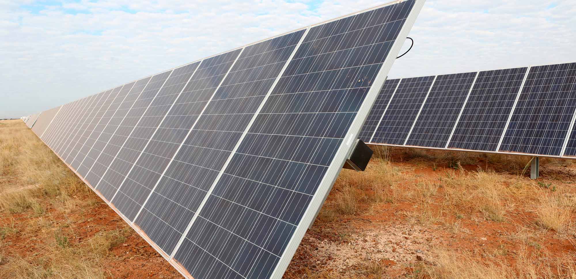 Red-Tailed Hawk Solar Farm | ACCIONA Energia