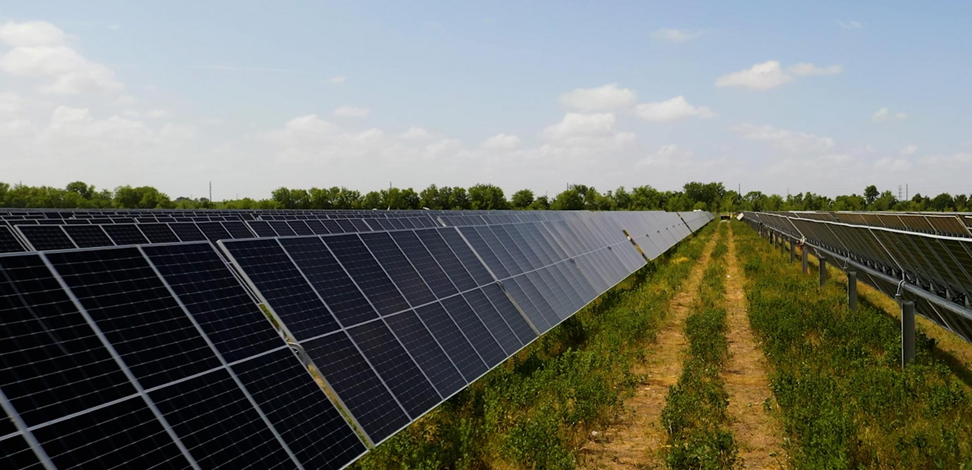 Fort Bend County Solar Farm | ACCIONA | Business as unusual