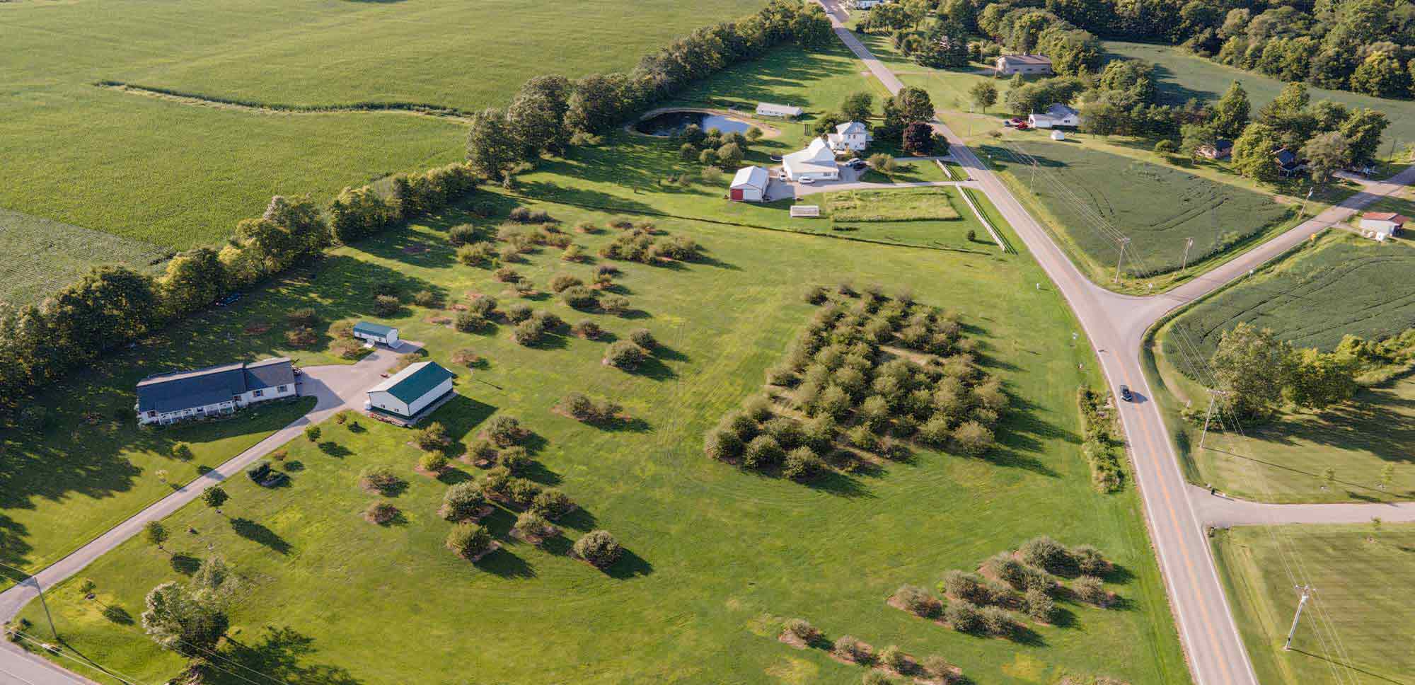 Union County Solar Farm | ACCIONA | Business as unusual